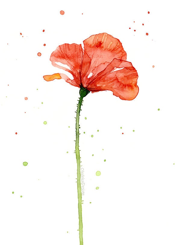 Poppy Print Set Poppy Watercolor Painting Red Poppy Wall | Etsy