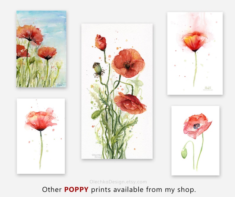 Poppy Art Poppy Print Red Poppy Watercolor Painting Poppy - Etsy