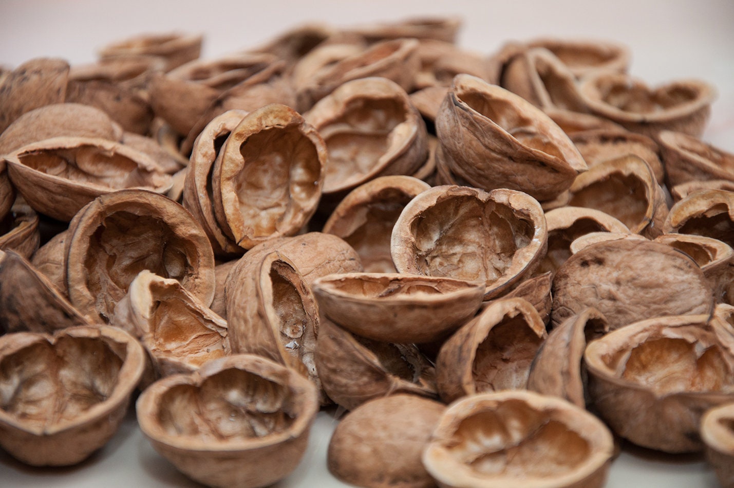 Walnut Shells. Price for 10 Pcs. Natural Walnut Shell Halves. - Etsy