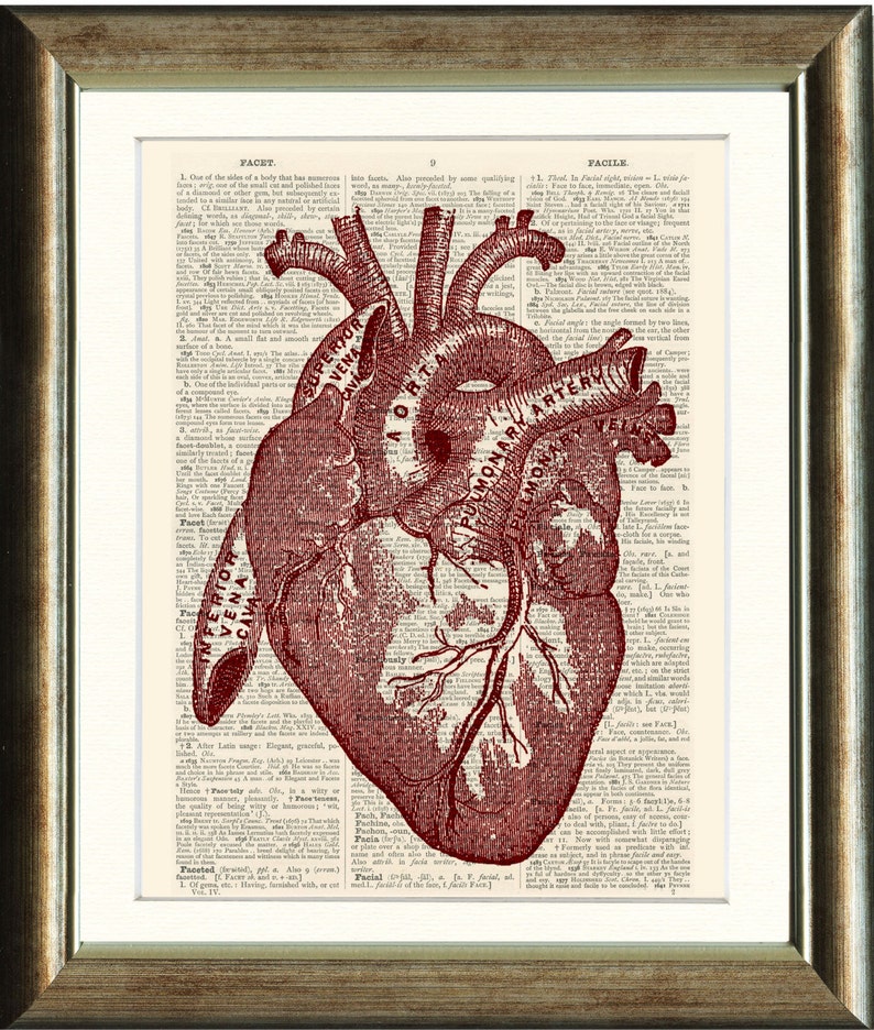 Anatomical Heart Print vintage image print on a page from a | Etsy