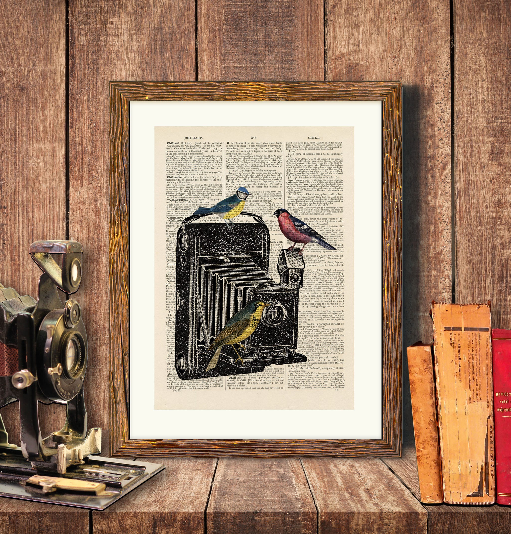 Folding Camera With Birds Vintage Image Printed on a Page - Etsy UK