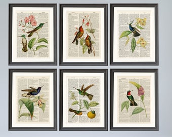 Bird Dictionary Art | Etsy