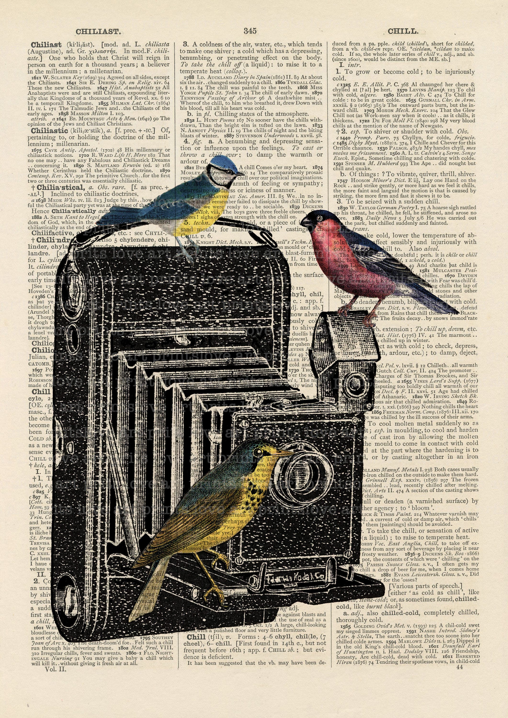 Folding Camera With Birds Vintage Image Printed on a Page - Etsy UK