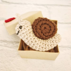 Snail in a Box Handmade Crochet Toy, Insect Lovers Gift, Birthday ...