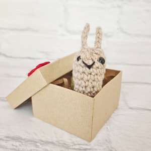 Snail in a Box Handmade Crochet Toy, Insect Lovers Gift, Birthday ...
