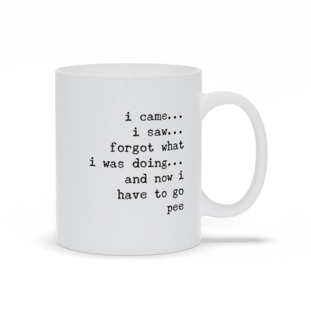 I Came I Saw Forgot What I Was Doing Mugs, Funny Sarcastic Sayings Mug ...
