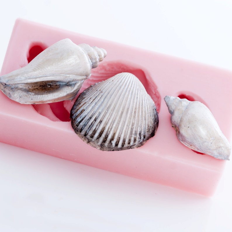 Sea Shell Mold Three Shells Resin Mold Pmc Mold - Etsy