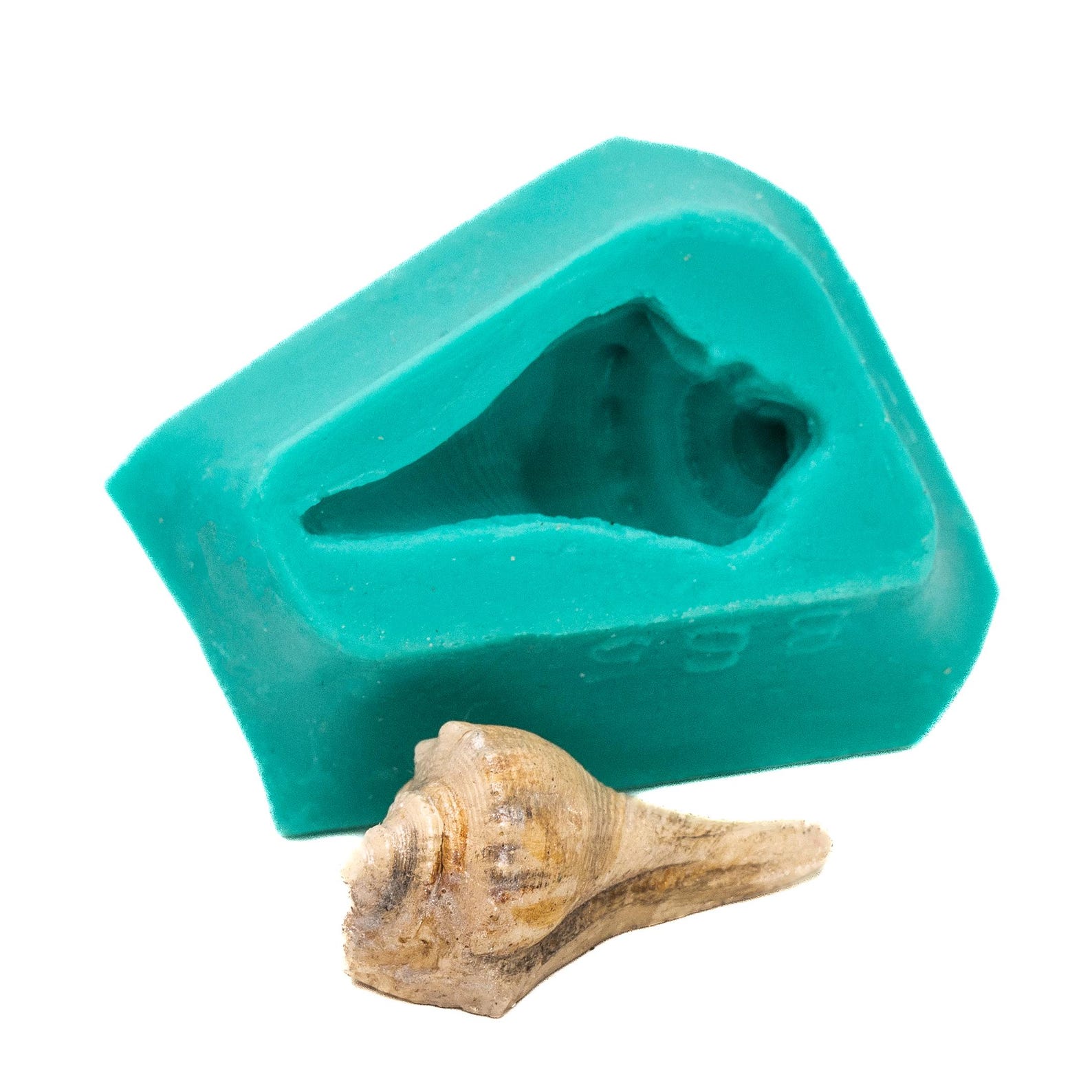 Silicone Mold - Conch Seashell Mold - Easy to Use With Resin, Clay, Wax ...