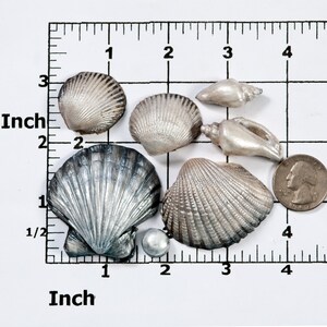 Sea Shell Mold Set - Four Silicone Molds - Fondant Sea Shell Molds ...