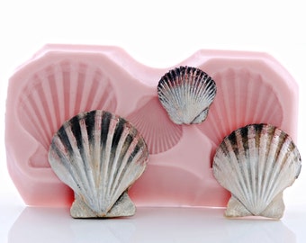 Clam Shell Mold | Etsy