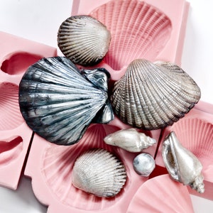 Sea Shell Mold Set - Four Silicone Molds - Fondant Sea Shell Molds ...