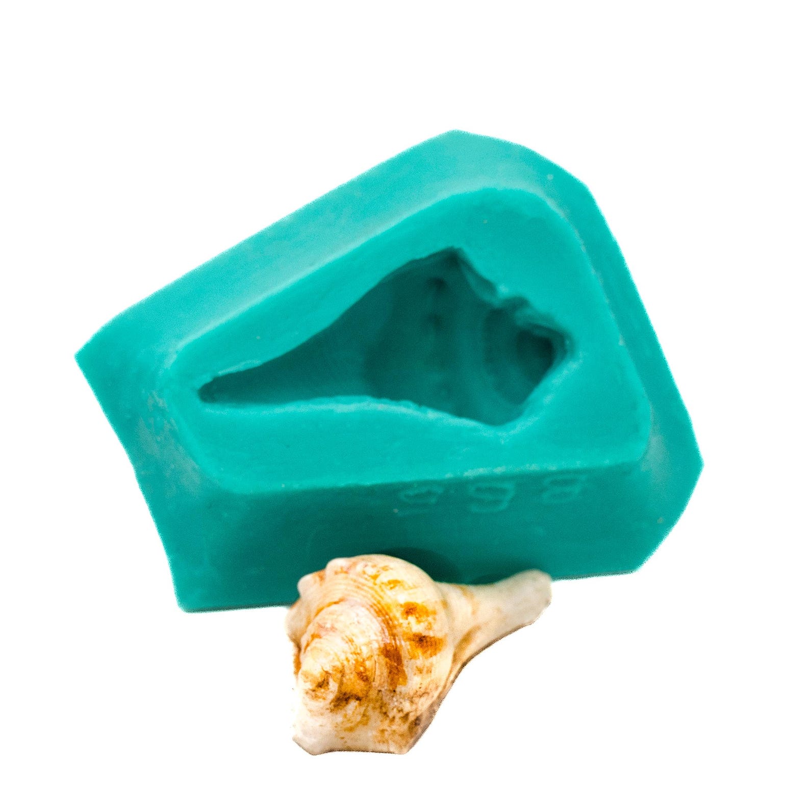 Silicone Mold - Conch Seashell Mold - Easy to Use With Resin, Clay, Wax ...