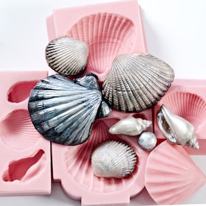 Sea Shell Mold Set - Four Silicone Molds - Fondant Sea Shell Molds ...