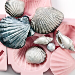 Sea Shell Mold Set - Four Silicone Molds - Fondant Sea Shell Molds ...