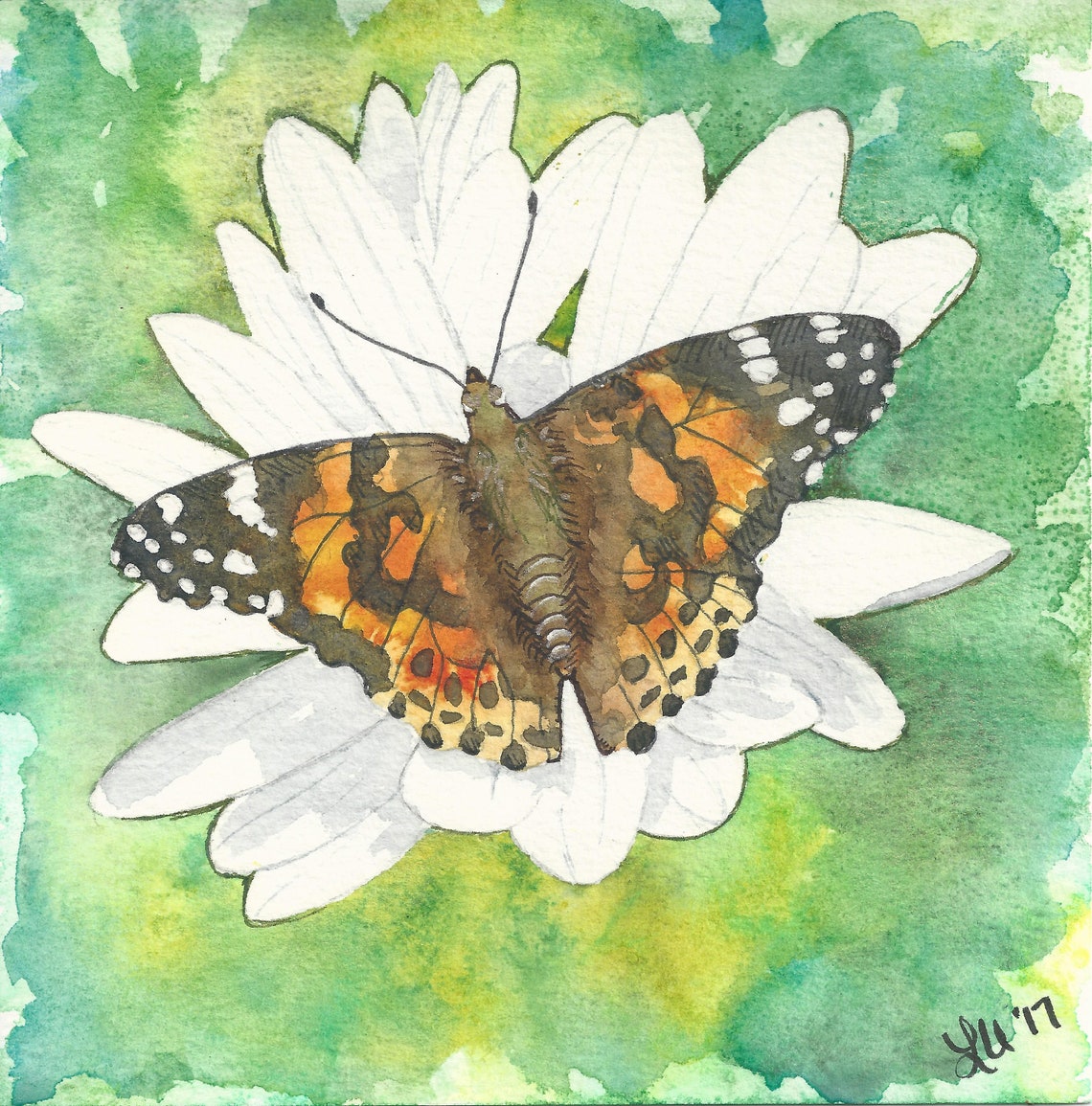 Butterfly on Daisy Version 1 Watercolor Print - Etsy