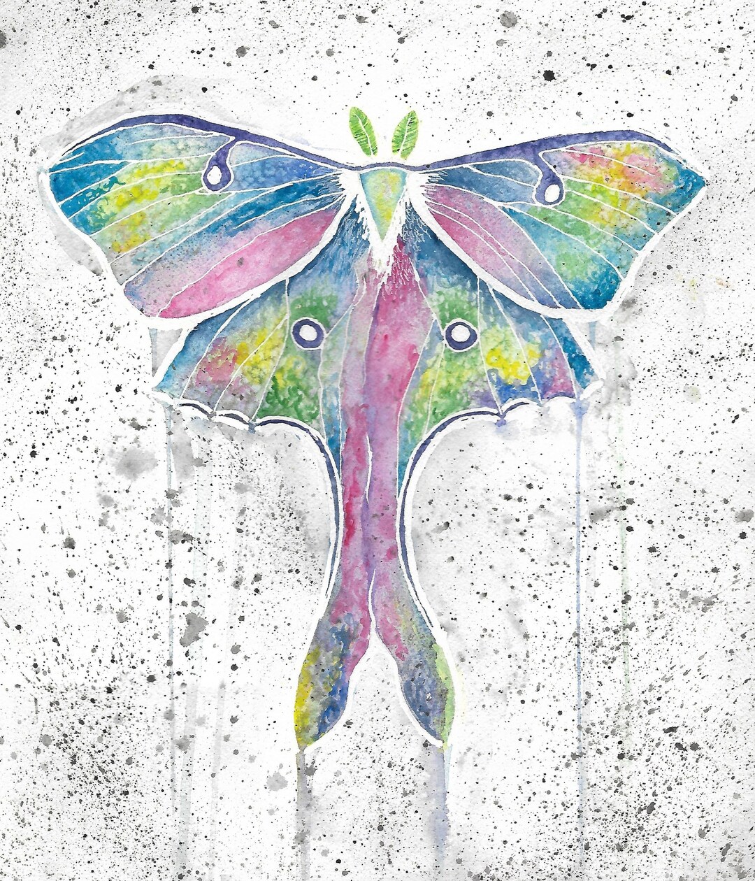 Spectral Luna Moth Watercolor Print - Etsy