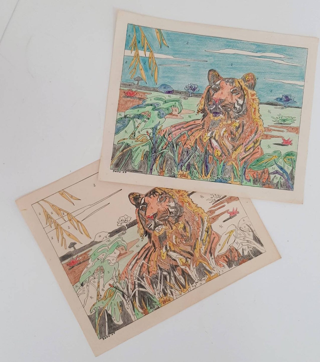 Two Vintage Color-by-number on Paper Unfinished Amateur Art - Etsy
