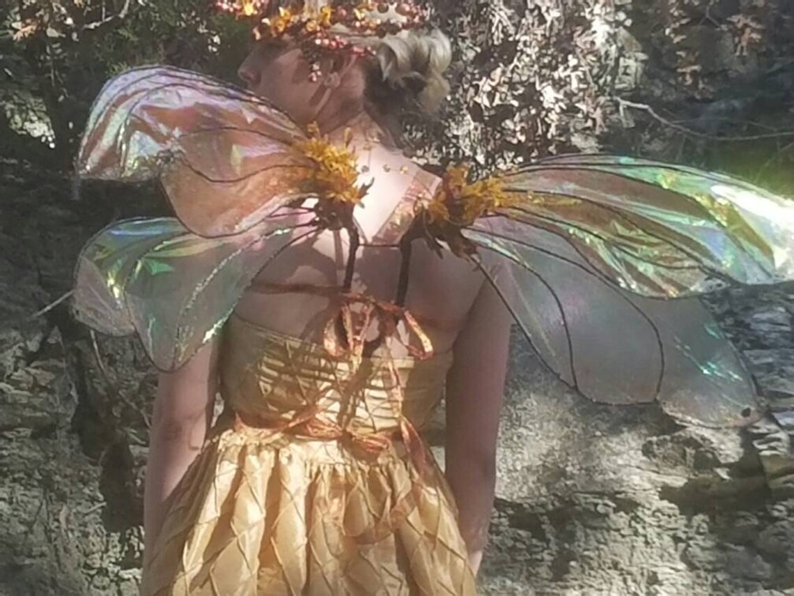 Fabulous Realistic Fairy Wings- Reserved - Etsy