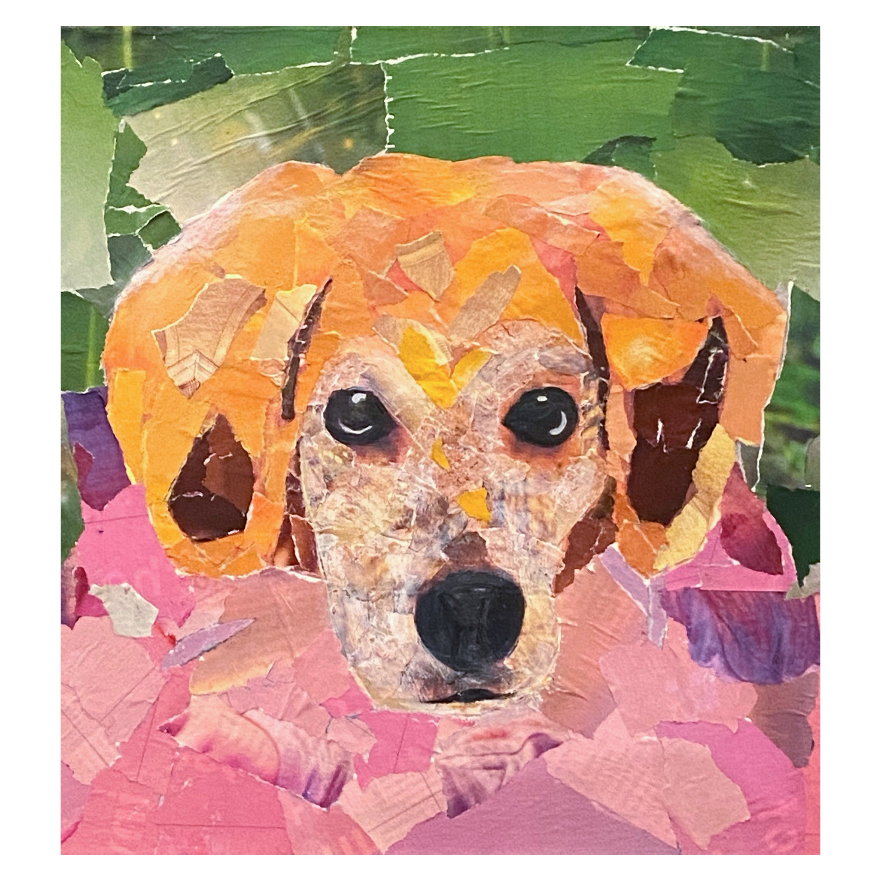 Pet Collage. Made to Order Pets, Cats, Dogs, Animals, Mixed Media, Pet ...