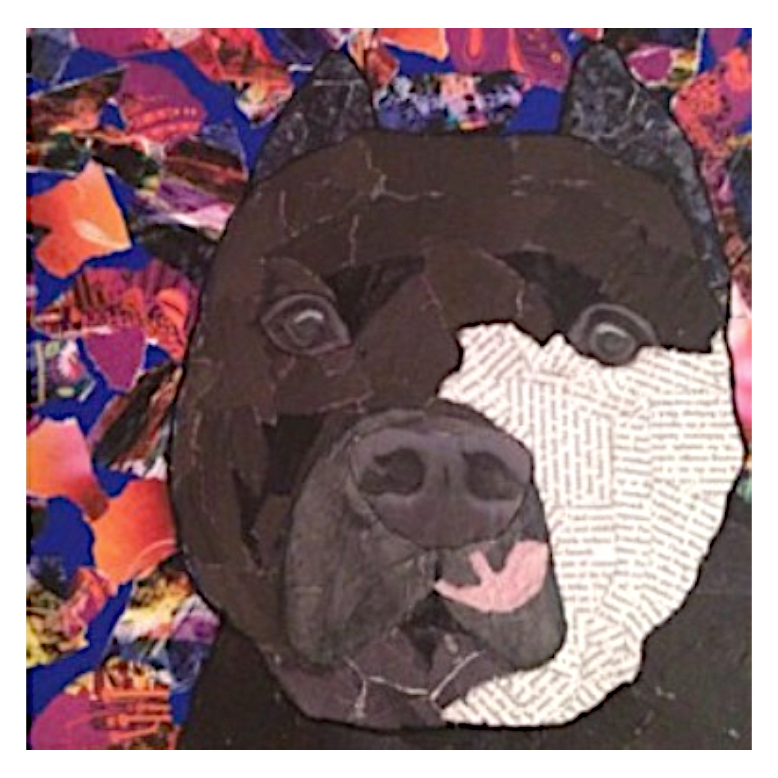 Pet Collage. Made to Order Pets, Cats, Dogs, Animals, Mixed Media, Pet ...