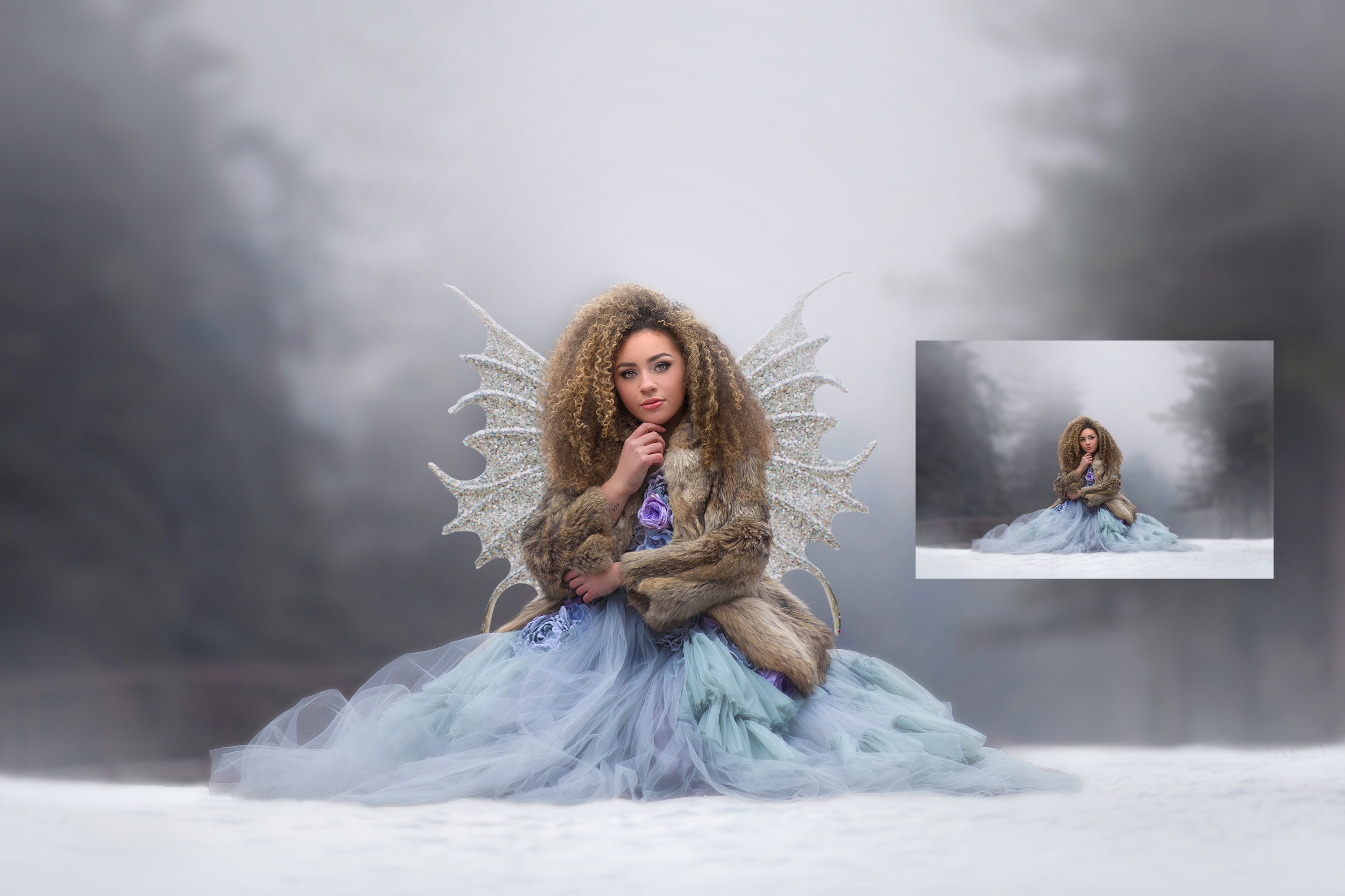 Wanderlust Fairies Fairy Wing Overlay Collection for PS & | Etsy