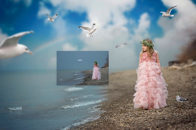 Seaside Seagulls – Bird Overlay and Photoshop Action Collection for PS ...