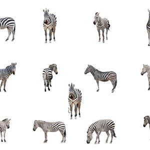 Dancing Stripes - Photoshop Overlay and Photoshop Action Collection for ...