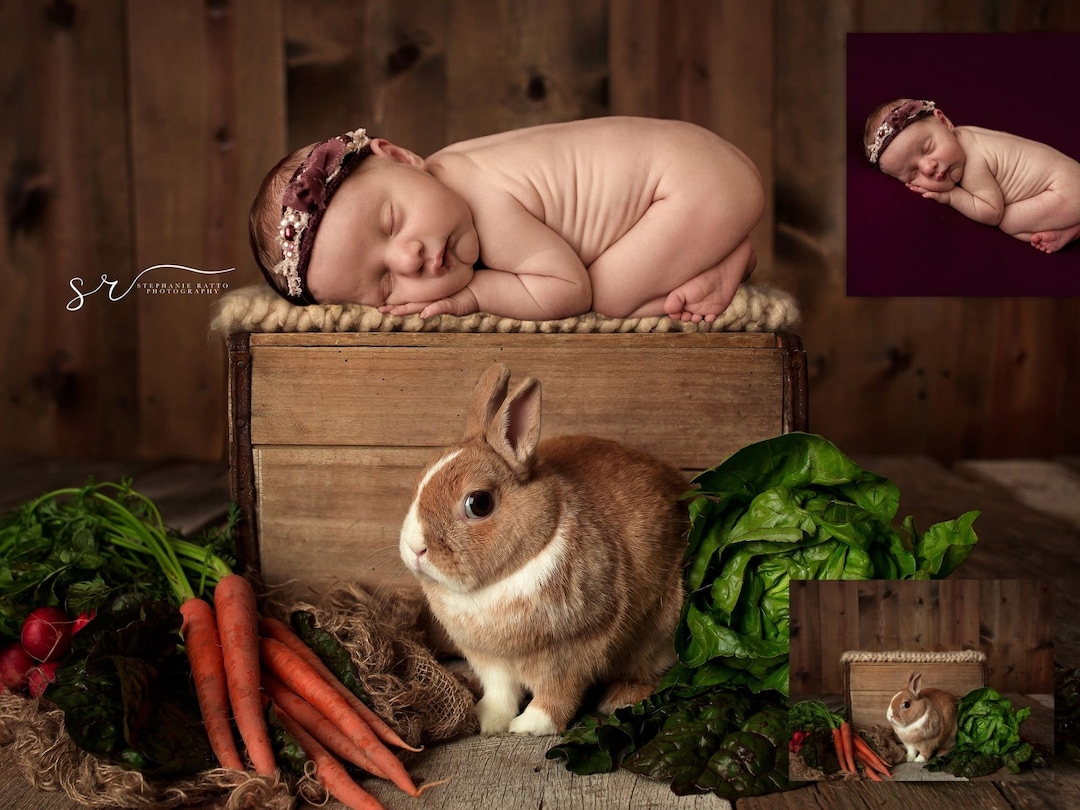 INSTANT DOWNLOAD - Spring Lullabies - Newborn Digital Backdrops for Ps ...