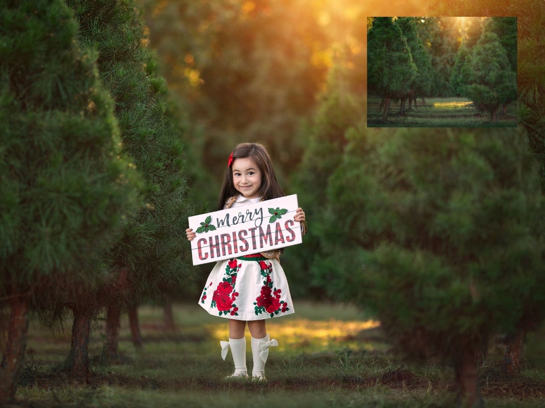 INSTANT DOWNLOAD - Christmas Tree Farm Digital Background for PS & Pse ...