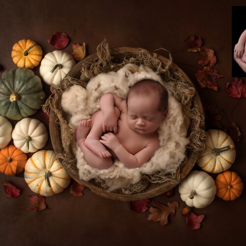 INSTANT DOWNLOAD: Fall Newborn Digital Background Collection - Etsy