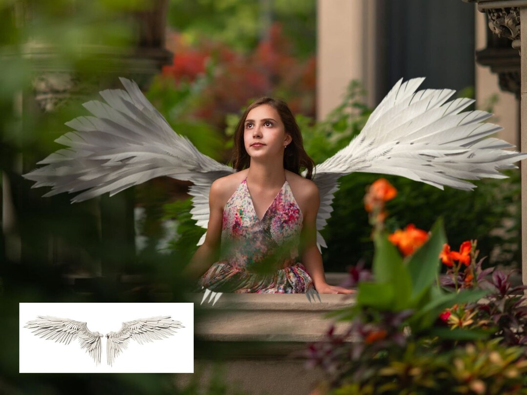 INSTANT DOWNLOAD - Feather Wing Overlays - Overlays for PS & Pse ...