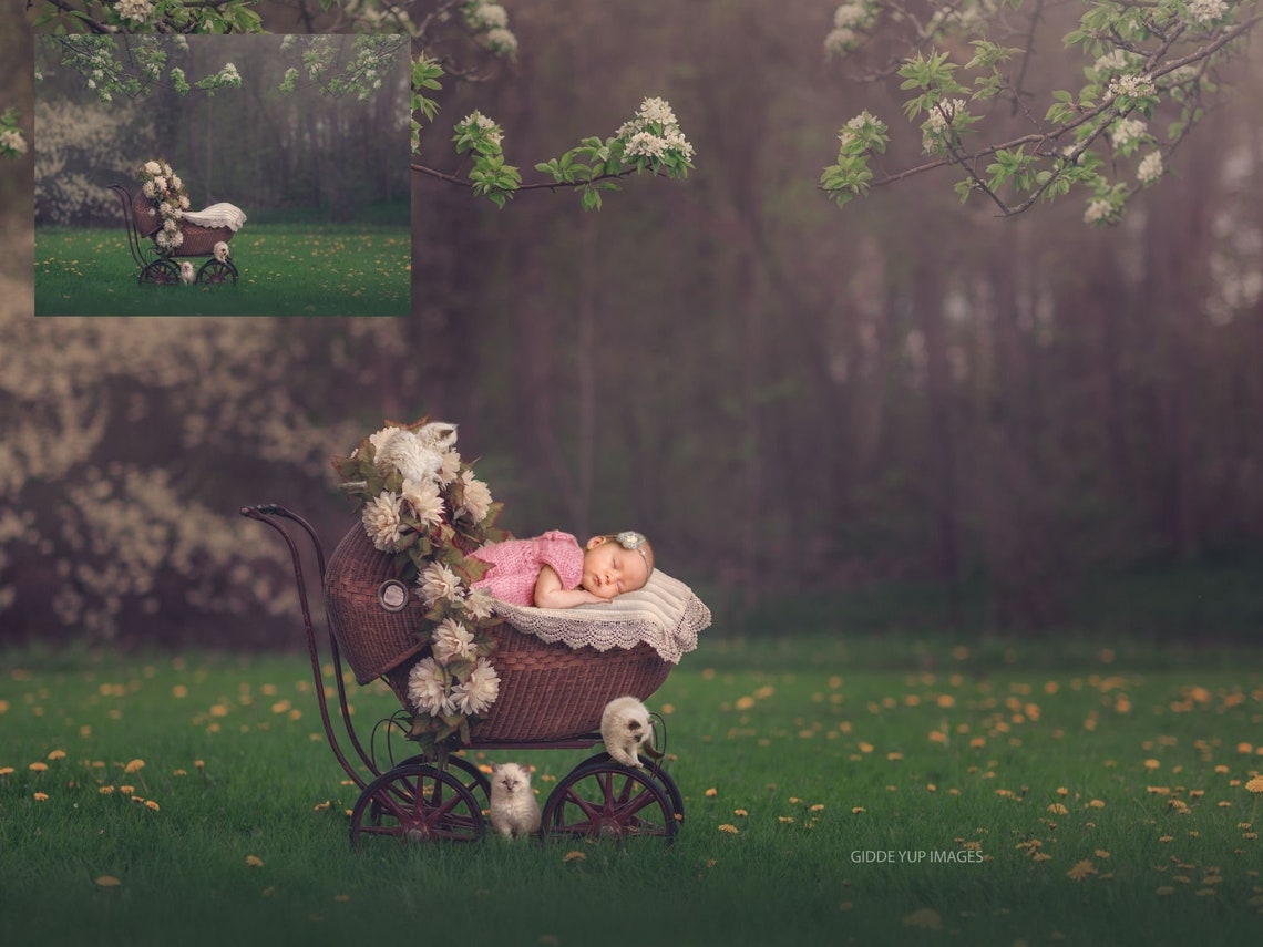 INSTANT DOWNLOAD Outdoor Newborn Digital Backdrop Digital - Etsy