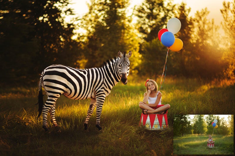 Craft Supplies & Tools Visual Arts Zebra Photoshop Actions Dancing ...