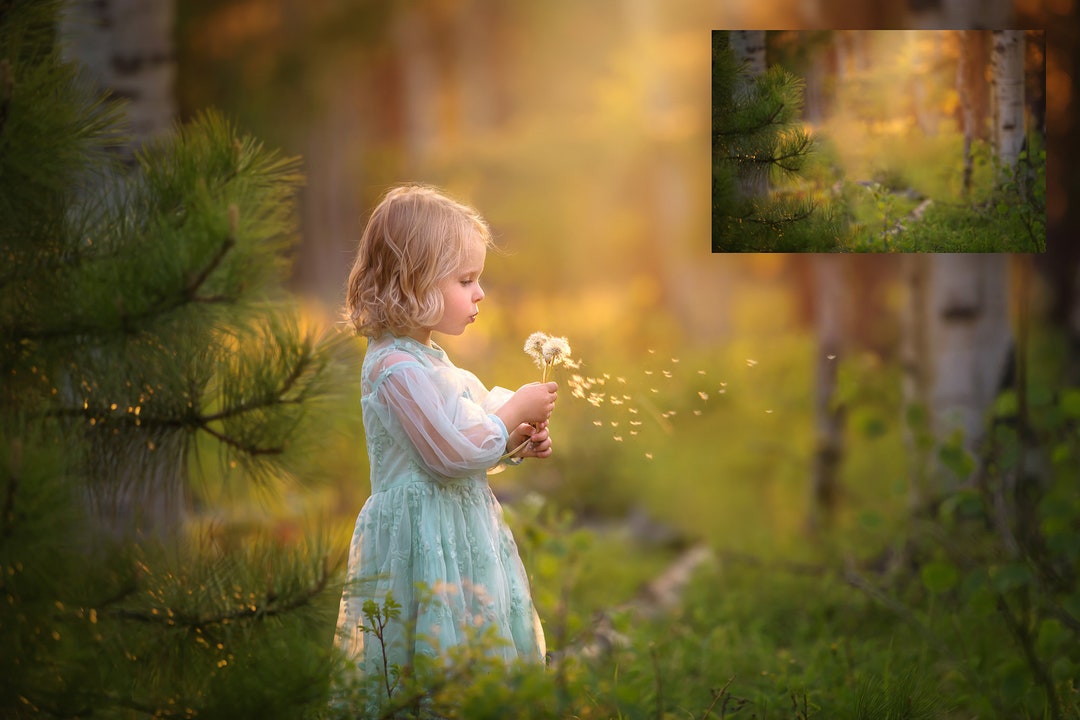 INSTANT DOWNLOAD- - Spring in the Forest - Spring Digital Background ...
