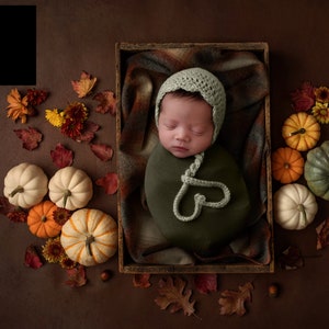 INSTANT DOWNLOAD: Fall Newborn Digital Background Collection for Ps ...
