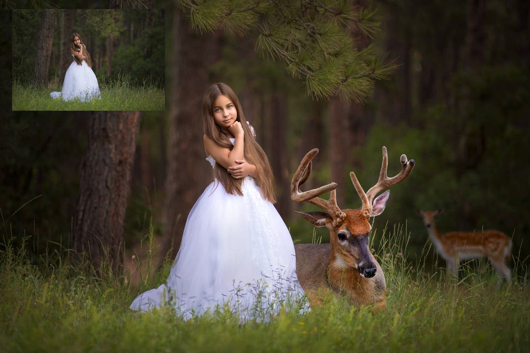 Forest Fawns - Deer Overlay and Photoshop Action Collection for PS ...