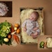 INSTANT DOWNLOAD - Spring Lullabies - Newborn Digital Backdrops for Ps ...
