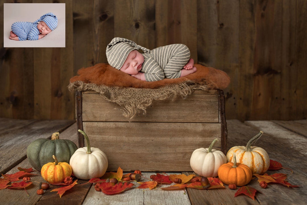 INSTANT DOWNLOAD: Fall Newborn Digital Background Collection for Ps ...