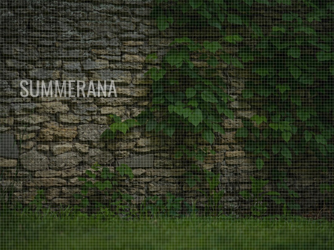 INSTANT DOWNLOAD - Emerald Forest Digital Background - Digital ...