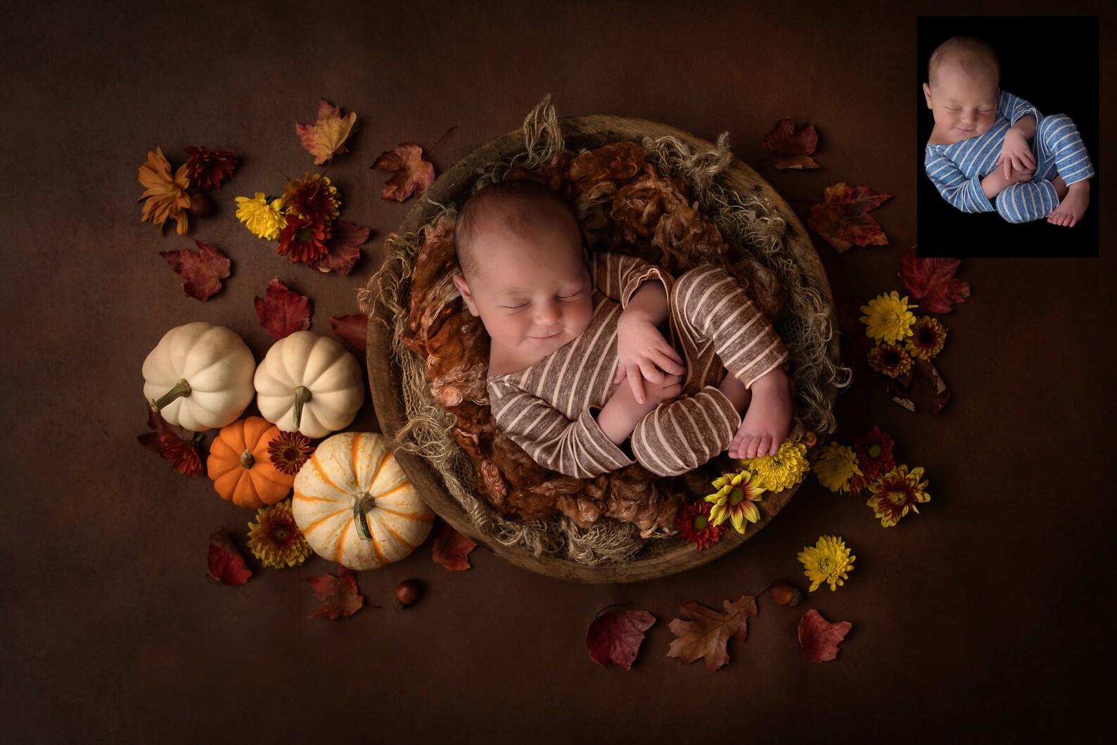 INSTANT DOWNLOAD: Fall Newborn Digital Background Collection for Ps ...