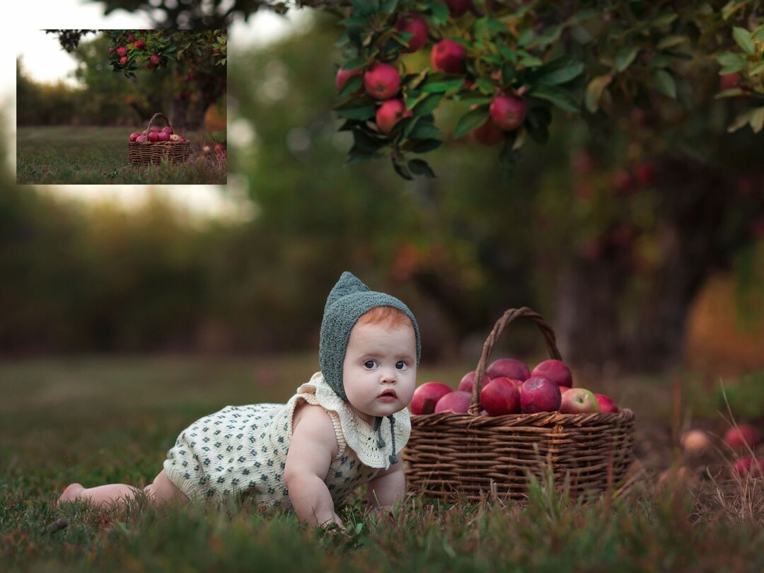 INSTANT DOWNLOAD: Apple Orchard Digital Background for Ps & Pse ...