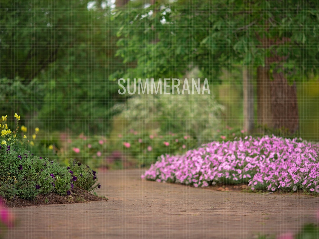 INSTANT DOWNLOAD - Early Summer - Digital Background for Ps & PSE ...