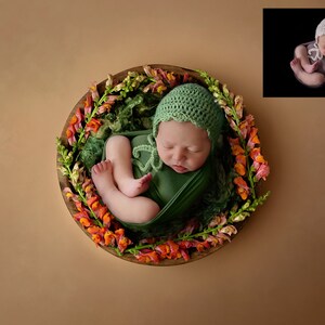 Spring Lullabies - Newborn Digital Background Collection for PS & PSE ...