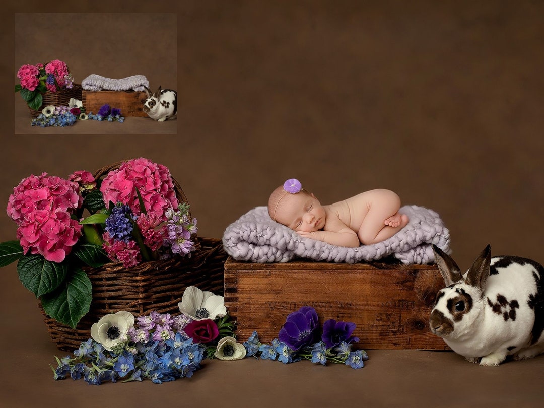 INSTANT DOWNLOAD - Spring Newborn Digital Background for PS & Pse ...