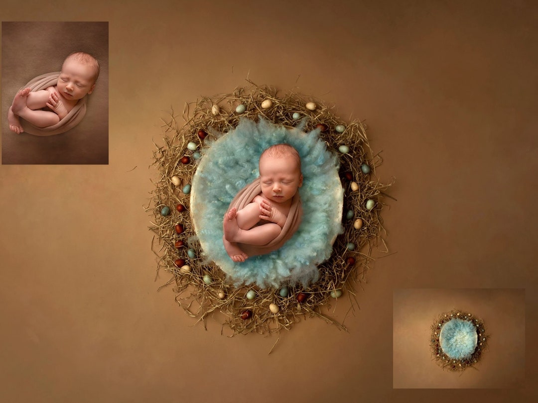 INSTANT DOWNLOAD - Spring Lullabies - Newborn Digital Backdrops for Ps ...