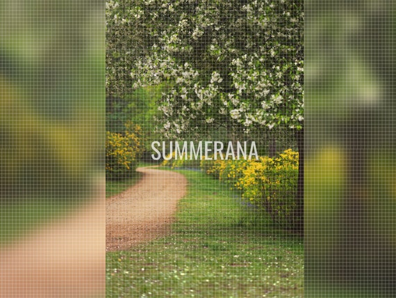 INSTANT DOWNLOAD Spring Dreams Digital Background for PS & | Etsy