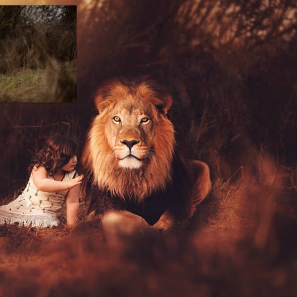 Lion Overlay - Etsy