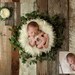 INSTANT DOWNLOAD - Spring Lullabies - Newborn Digital Backdrops for Ps ...