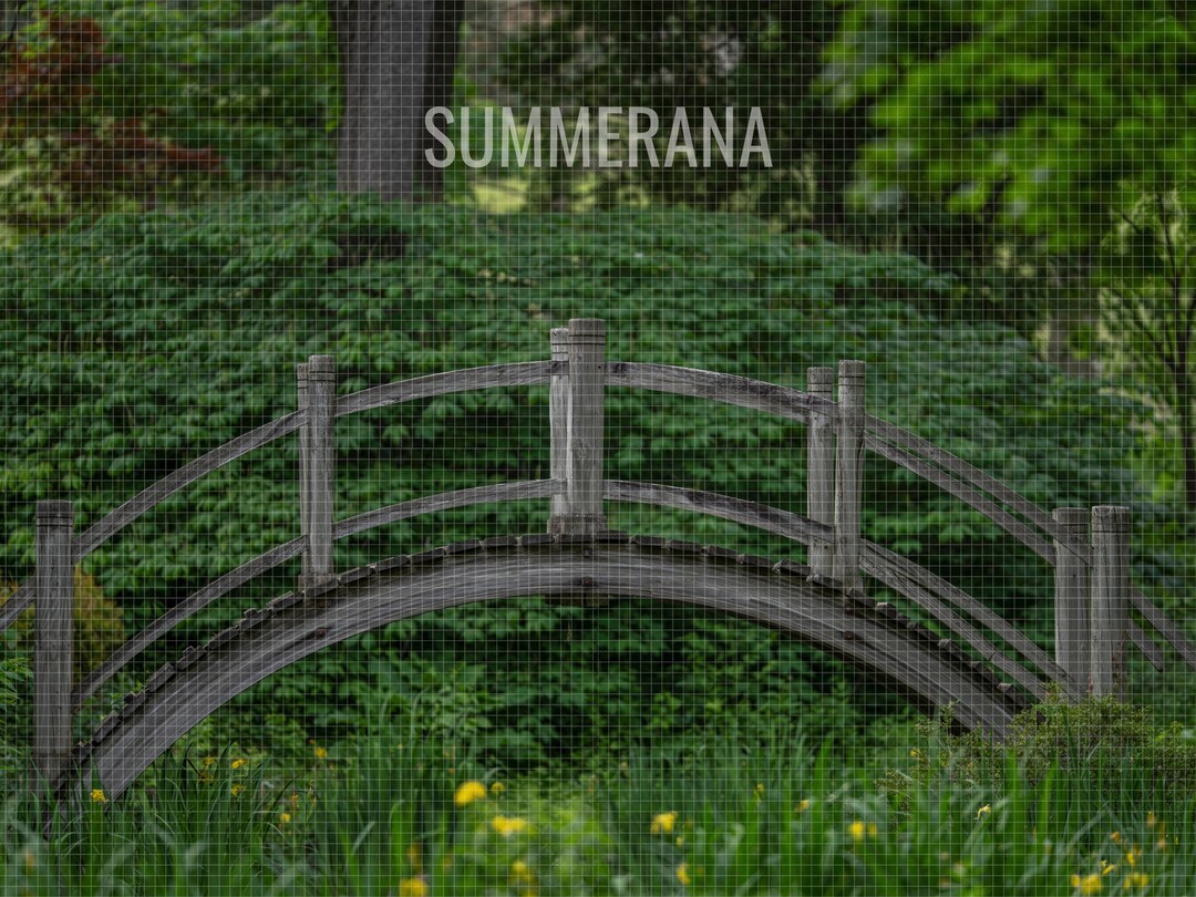 INSTANT DOWNLOAD - Emerald Forest Digital Background - Digital ...