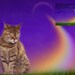 INSTANT DOWNLOAD - Pet Memorial Digital Backdrop - Digital Background ...